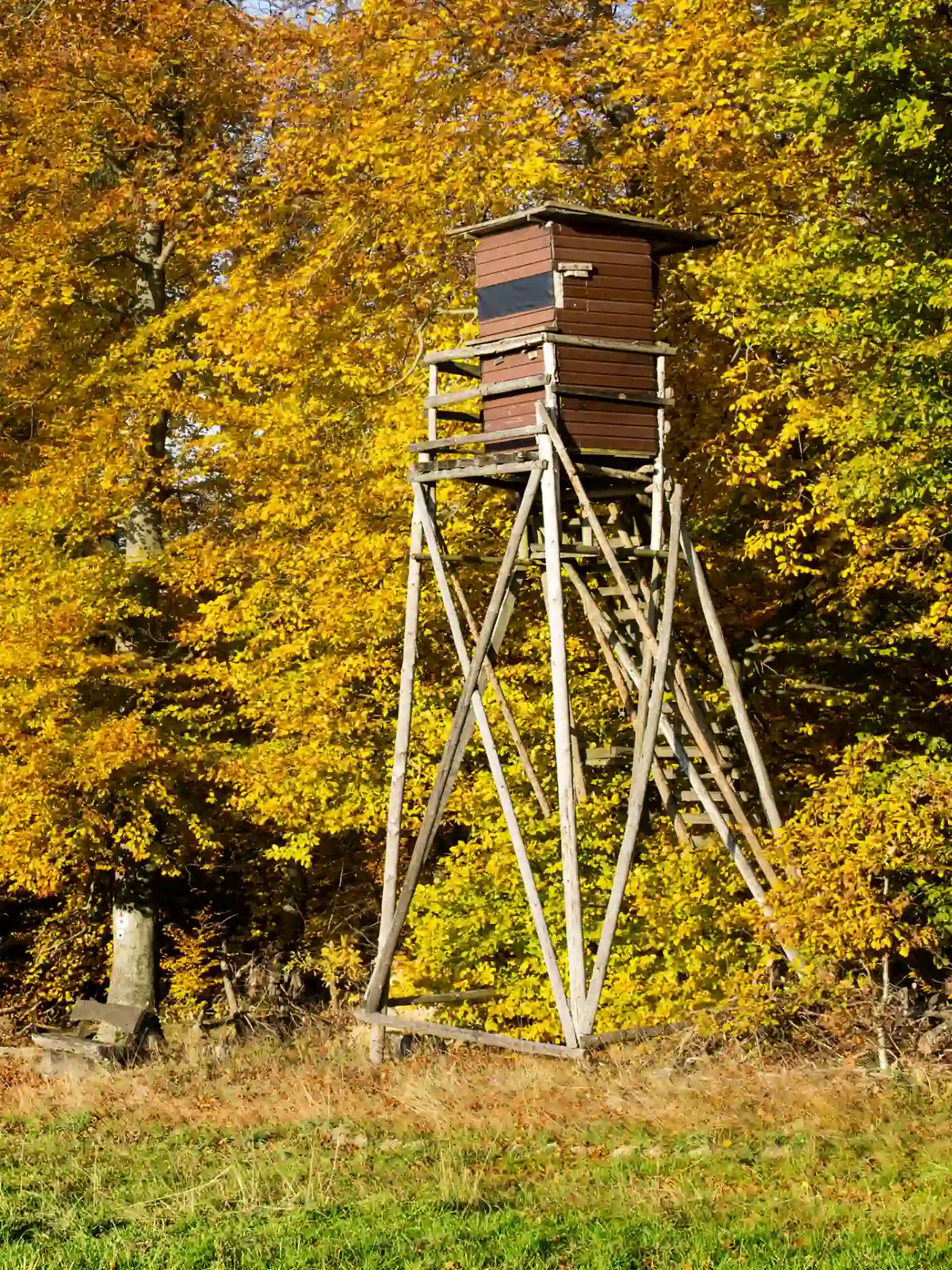 High Seat | Artemis Hunting