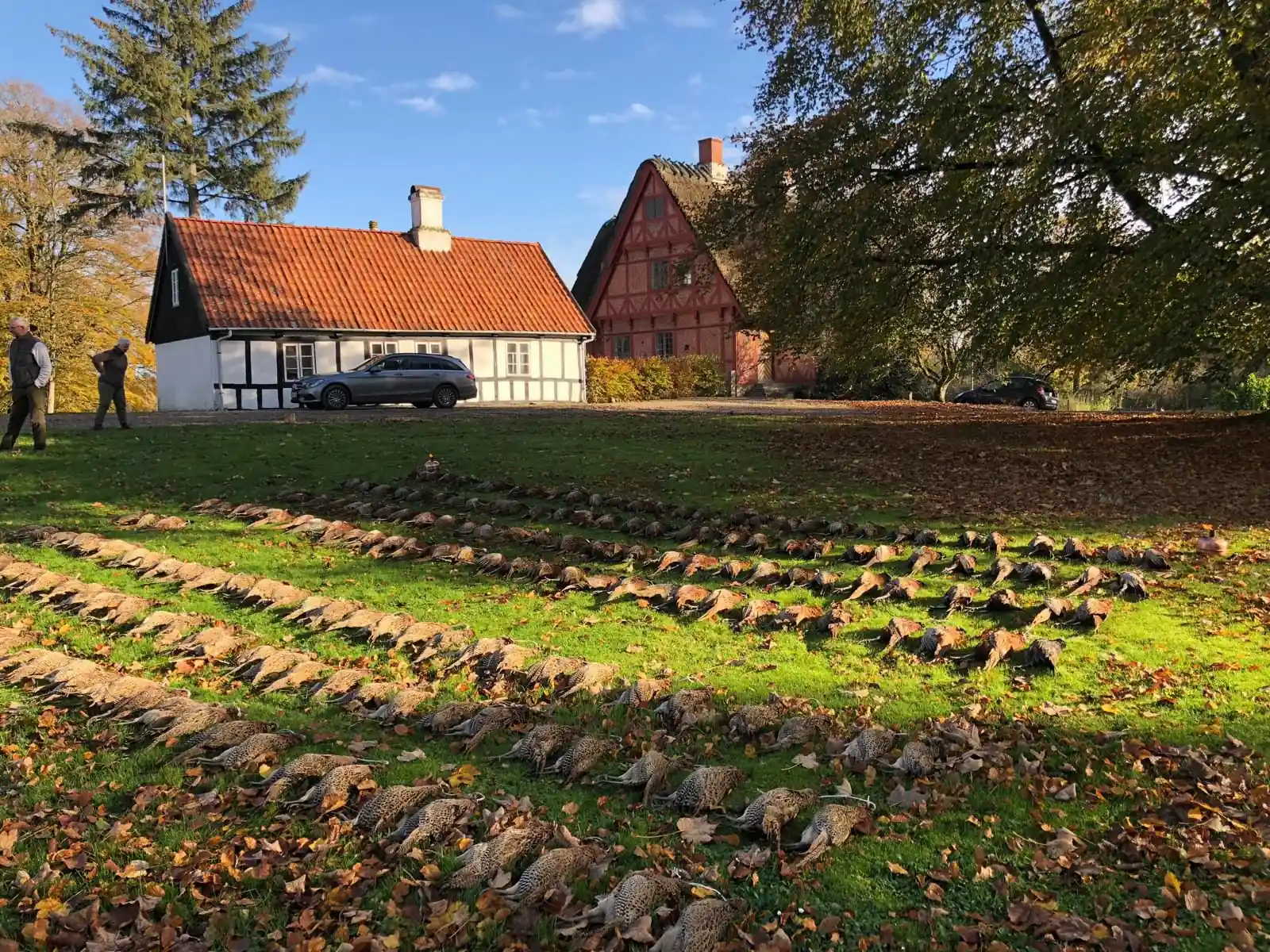 Denmark | Artemis Hunting